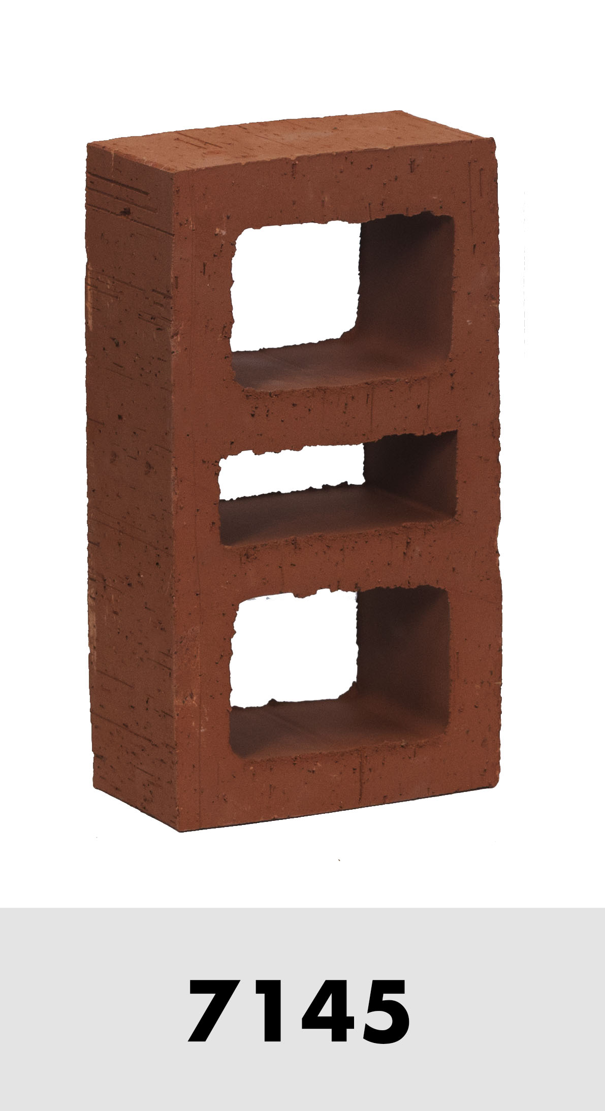 Binsa Brick